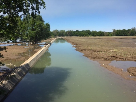 Monitoring of Yolo and Sutter Bypasses for Fish Stranding and Rescue ...