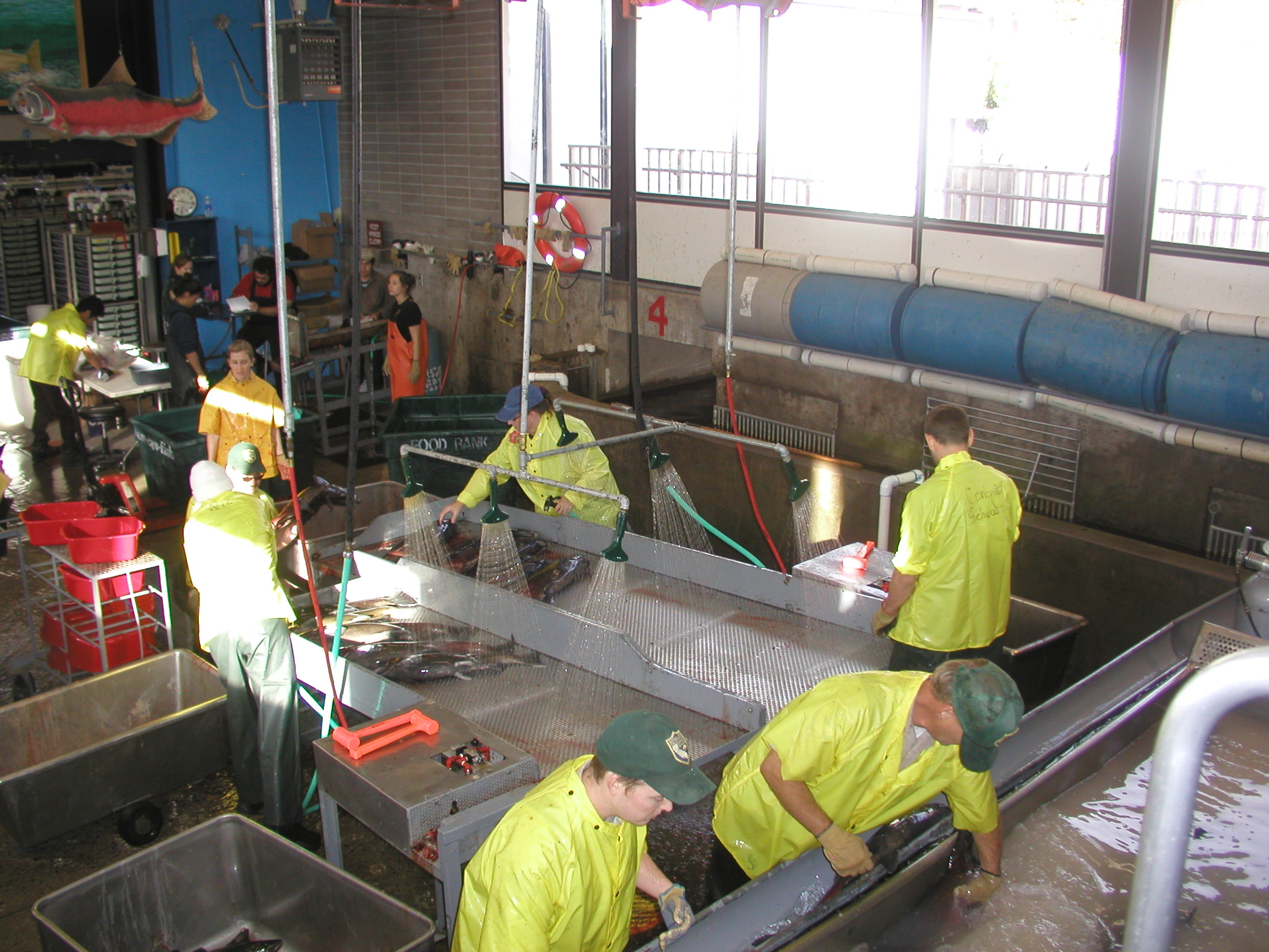 Feather River Fish Hatchery