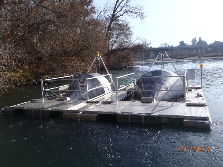 Lower American River - RST Monitoring