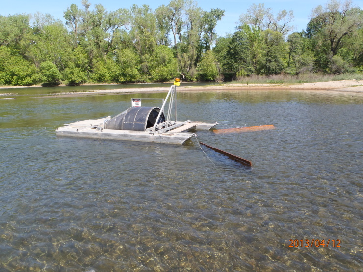 Lower American River - RST Monitoring