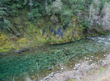 CalFish > Programs & Data > Conservation and Management > California ...